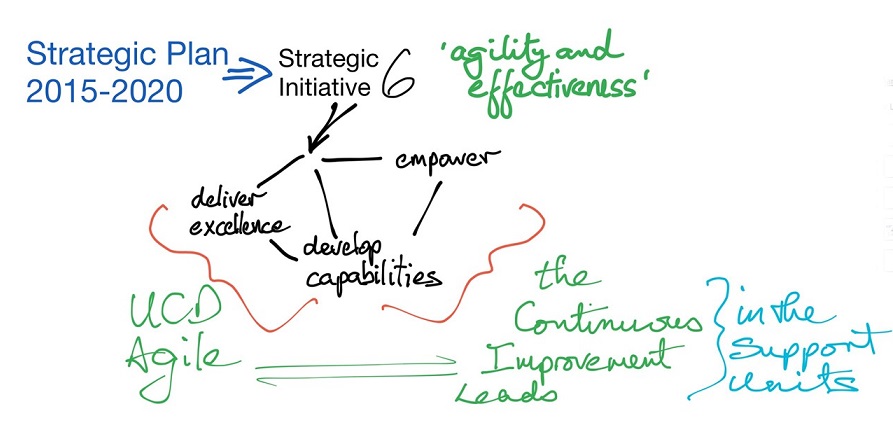 Introducing UCD's Continuous Improvement Leads - Work Smarter Together