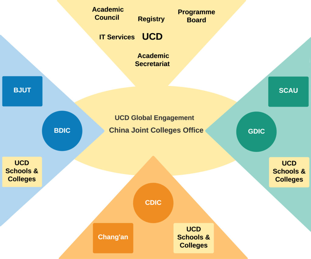 Remote Working Stories: Paula McGarry, Director, UCD China Joint ...